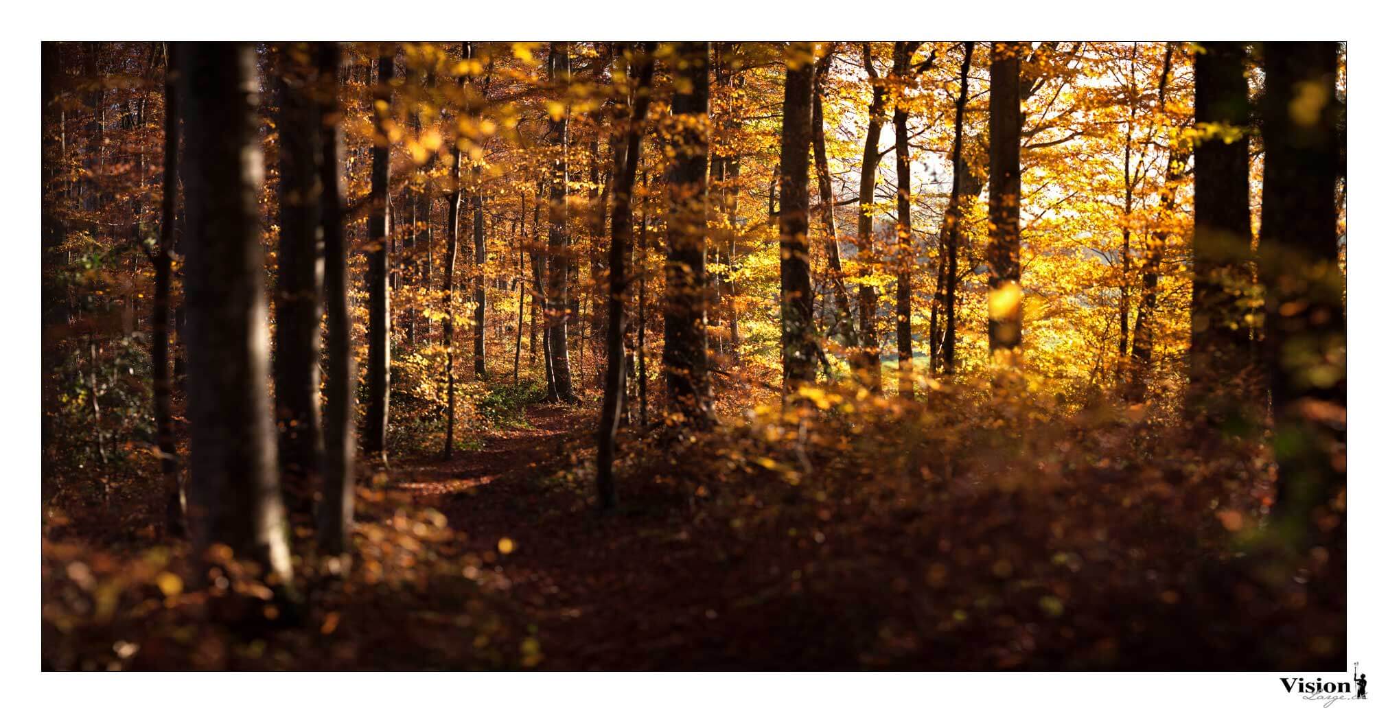 Couleurs automnales — Photographe de paysages